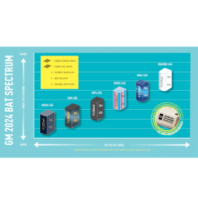 GM Brava 606 English Willow Cricket Bat