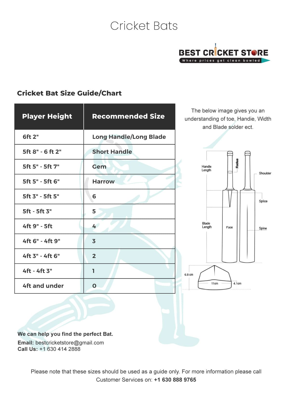 CEAT Hitman RS-45 Player Edition Cricket Bat